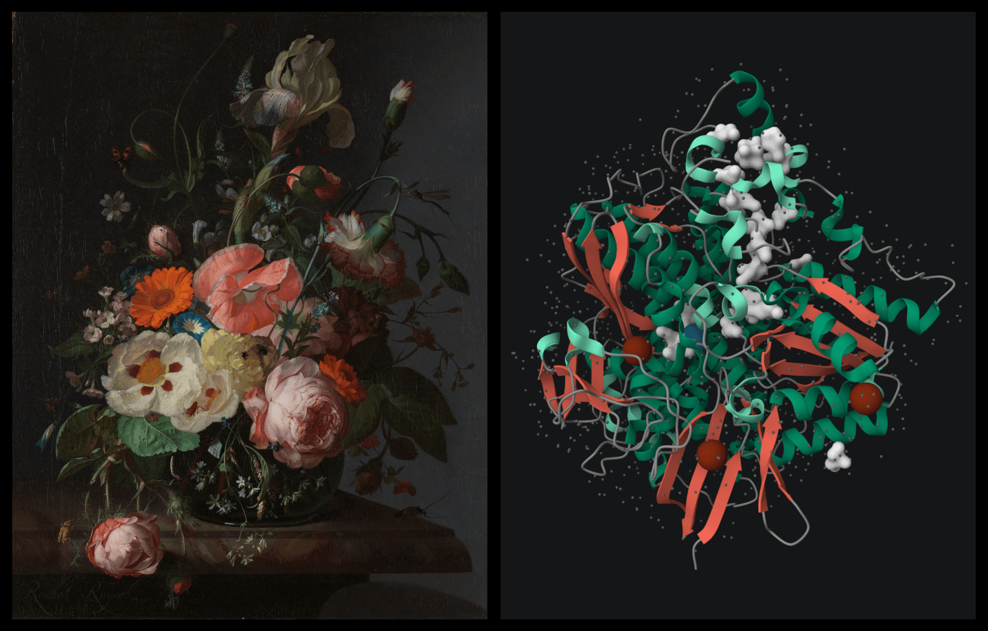 Read our new article at theConversation.ca – Amanda Bongers